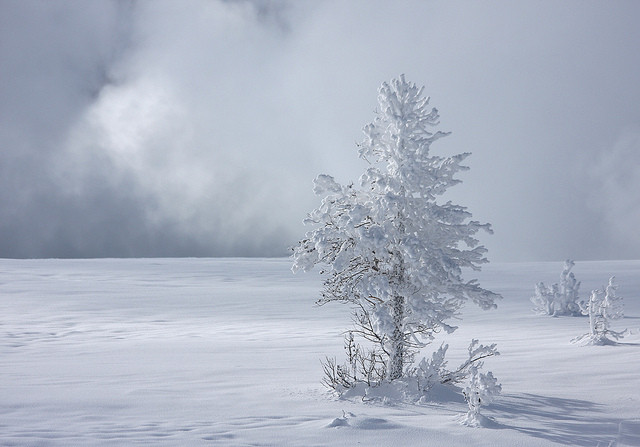 20 Amazing Snow Landscape Photographs | Smashing Camera