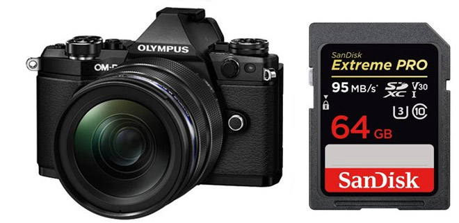 Best Memory Cards for Olympus E-M5 II | Smashing Camera